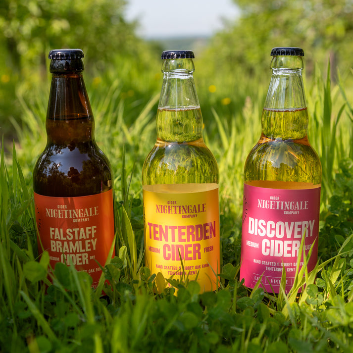 Mixed Still Cider Case - Nightingale Cider Company