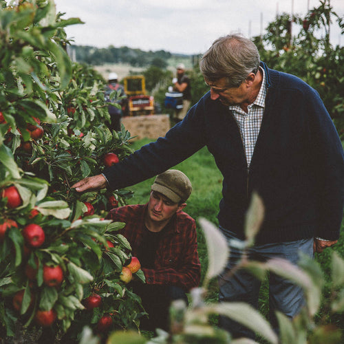 Nightingale Cider Company